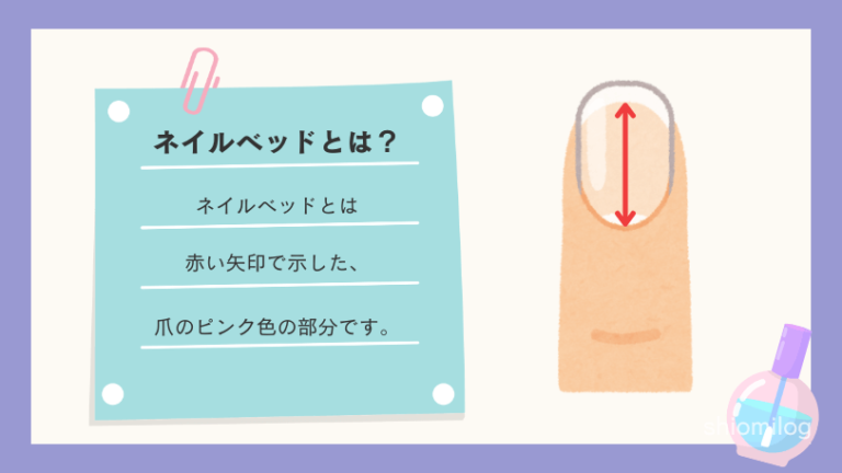 今からでも伸びる？ネイルベッドを長くして美しい爪をゲットする方法 | shiomilog